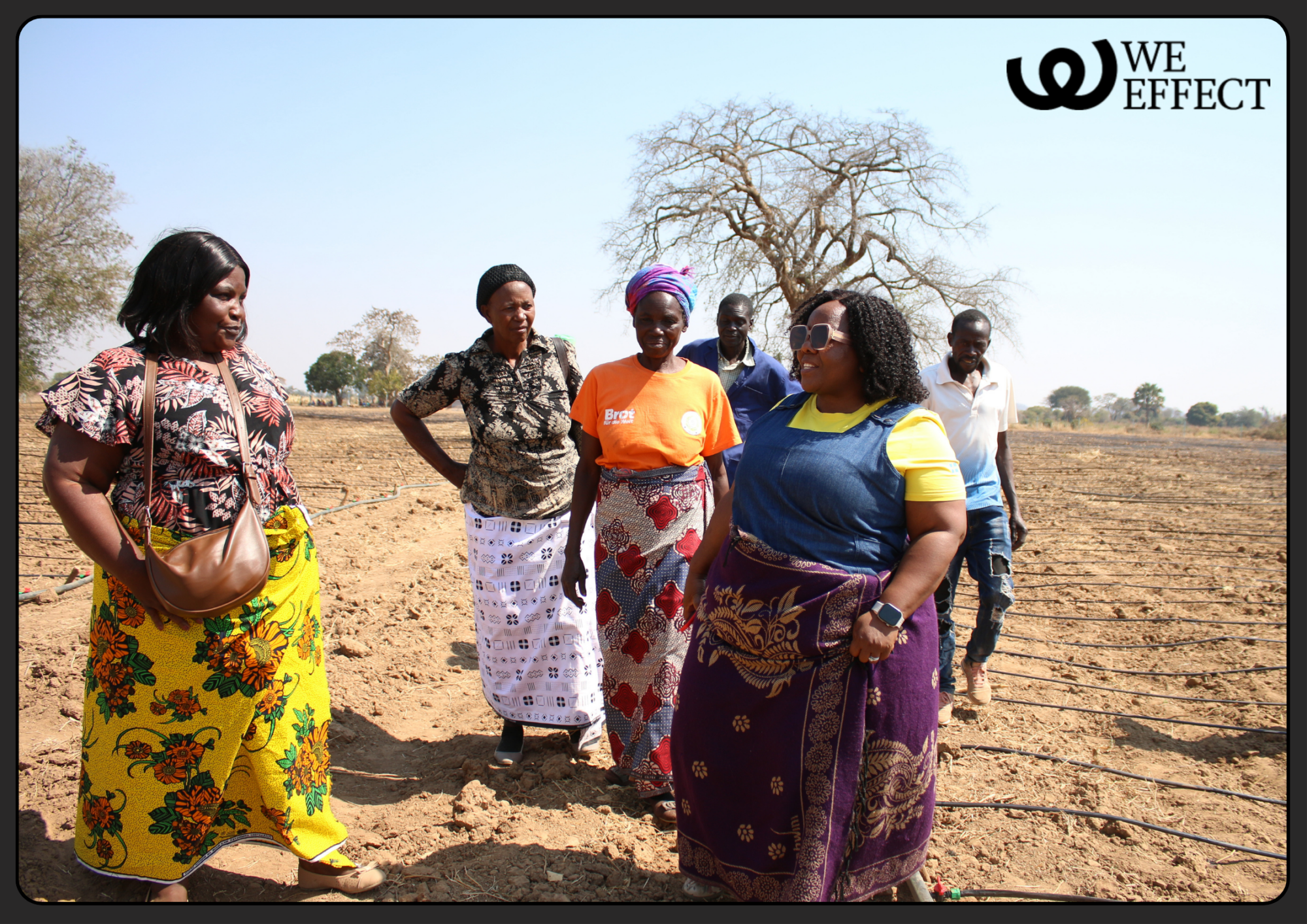 We-Effect Intervenes with Lifesaving Irrigation Project. - WeEffect Global